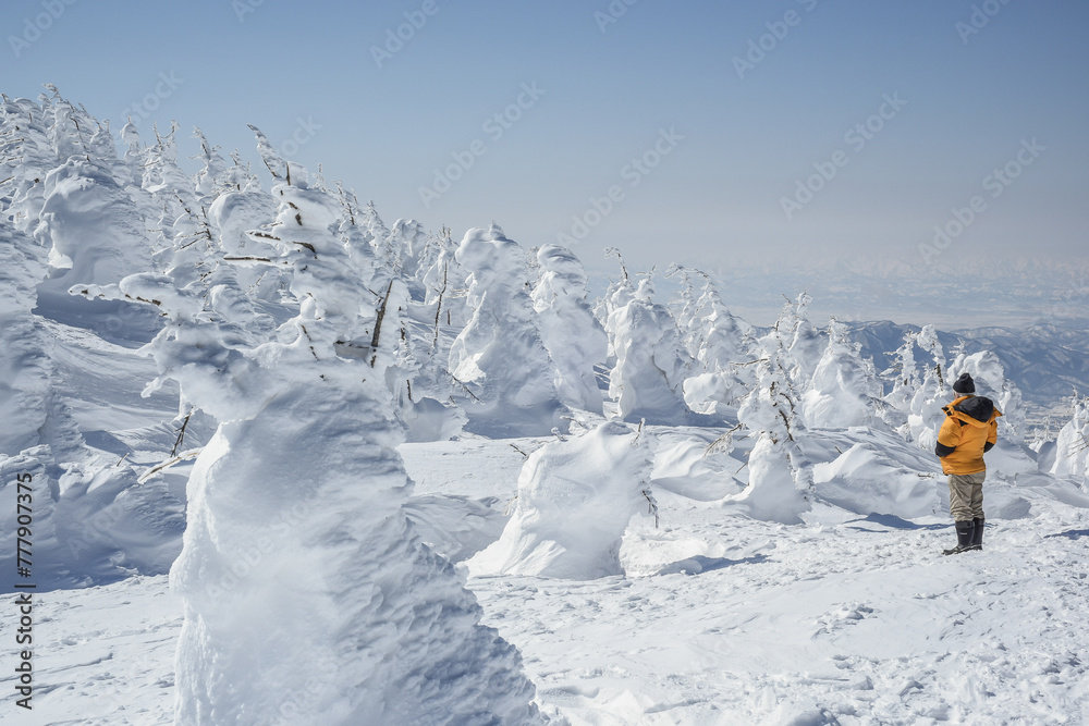Beautiful Frozen Forest Covered With Powder Snow As Snow Monsters At ...