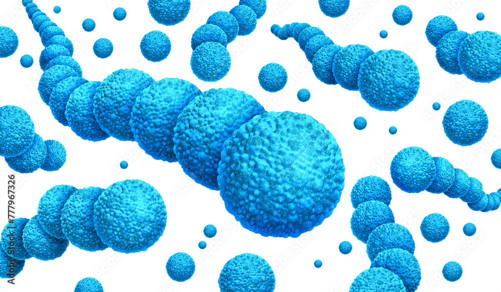 Poster Bacteria Streptococcus and Streptococcal infections as gram ...