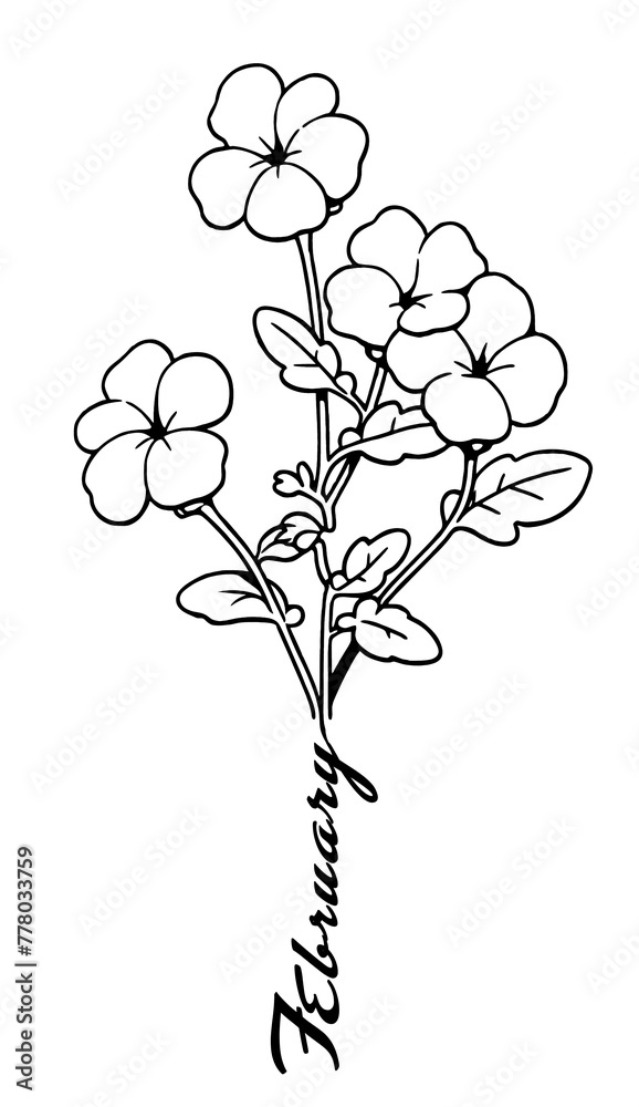 February Violet birth month flower Botanical floral line art drawing ...