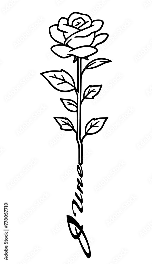 Rose flower line art. Rose flower outline illustration. June Birth ...