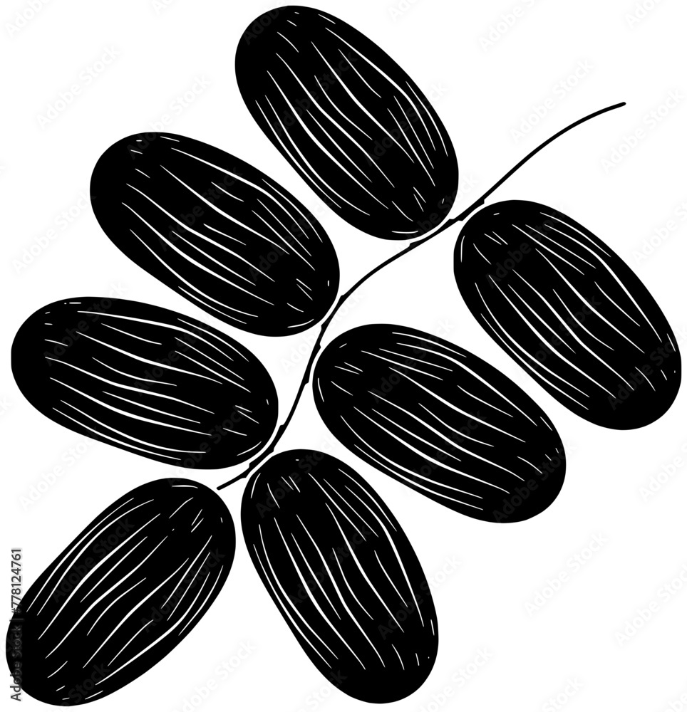 tropical illustration medjool silhouette fruit logo green icon date ...