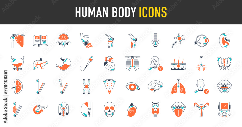 Human body icon set. Such as shoulder, liver, heart, x ray, sperm cell ...