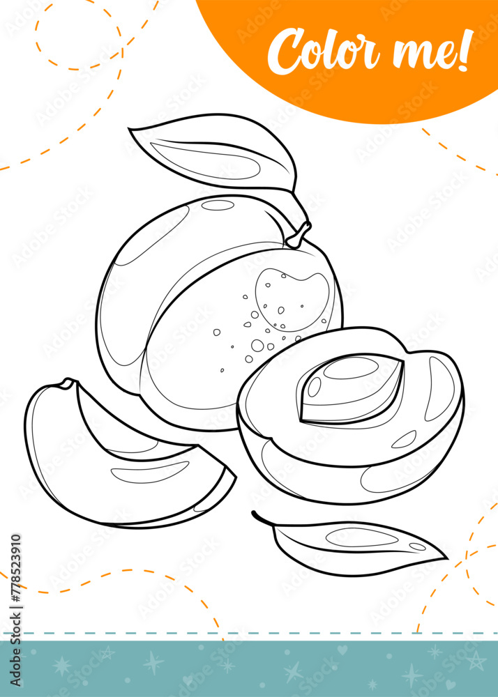 Coloring page for kids with apricot fruit.A printable worksheet, vector ...