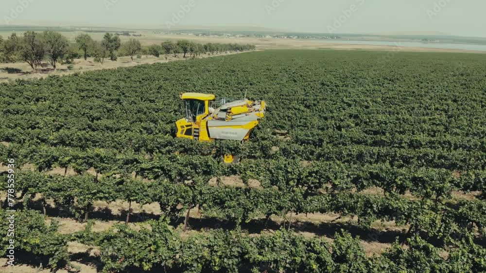 Harvester machine gathering crops at the agricultural plantation ...