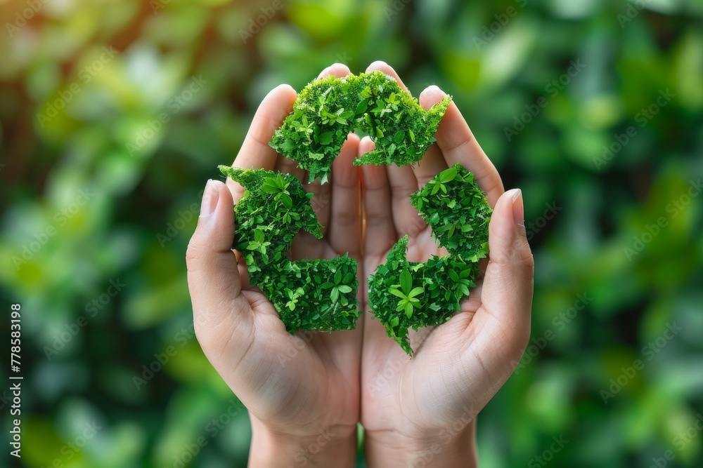 Enhancing Eco-friendly Waste Plans: How Nature and Eco-conscious ...