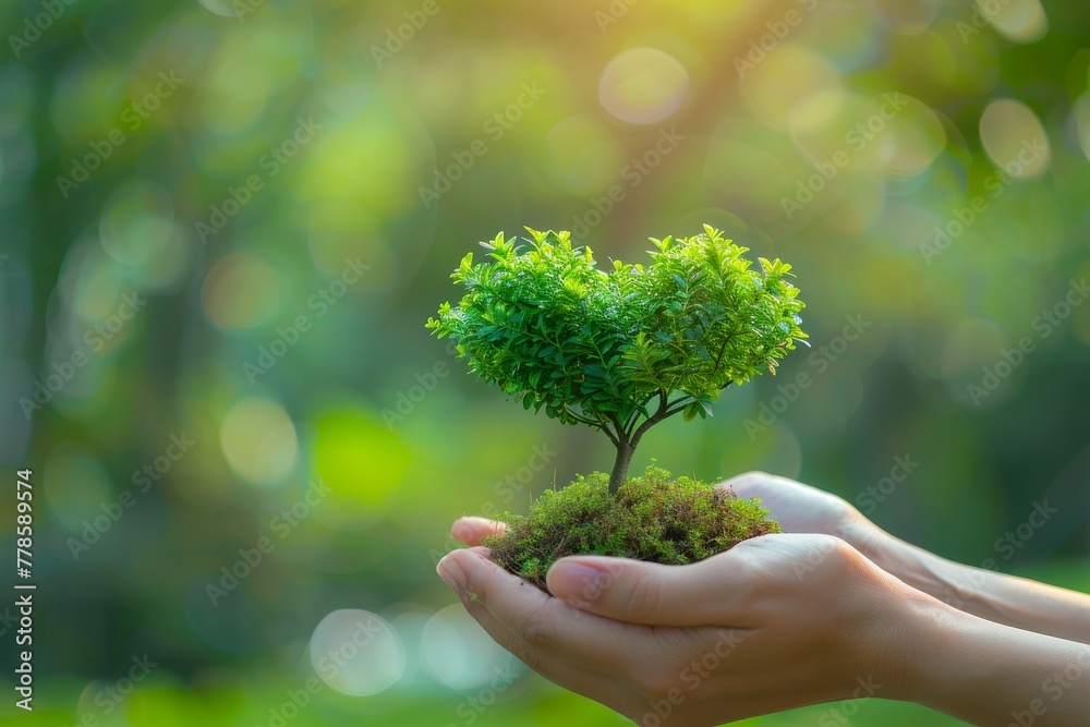 Empowering Environmental Conservation Through Innovative Recycling ...