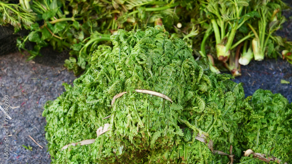 Wild vegetables sold at rural roadside stalls in northeastern China ...