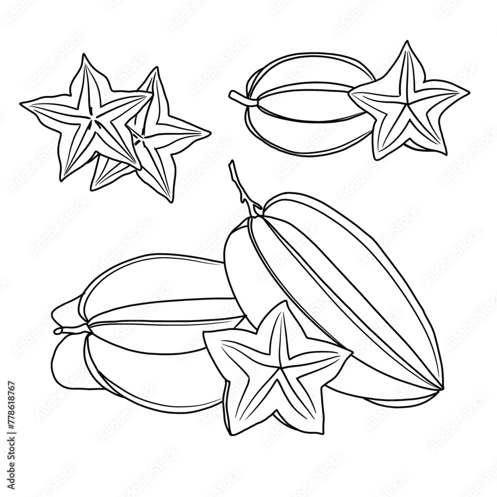 Vector drawing Illustration Hand drawn ink sketch of Star Fruit, Half ...