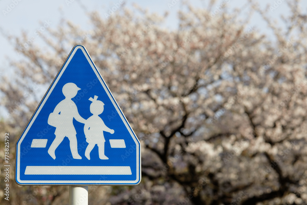pedestrian traffic sign with sakura background Stock Photo | Adobe Stock
