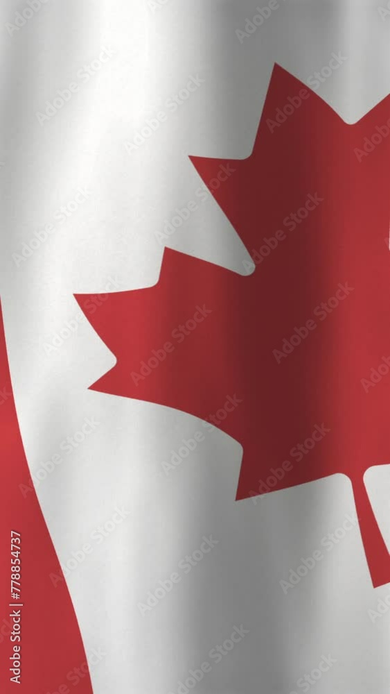 Waving Flag of Canada, Vertical Fill Video, 4K Animated Background ...