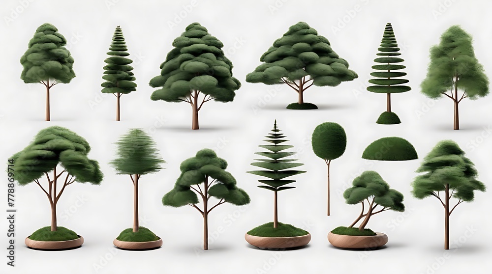Cutout trees shapes collections,Acer globosum isolate transparent ...