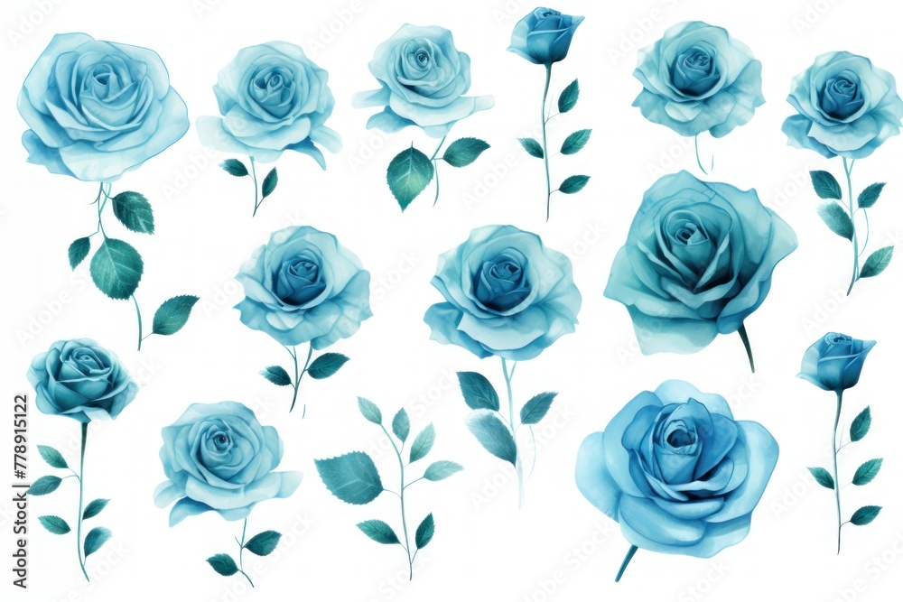 Cyan roses watercolor clipart on white background, defined edges floral ...