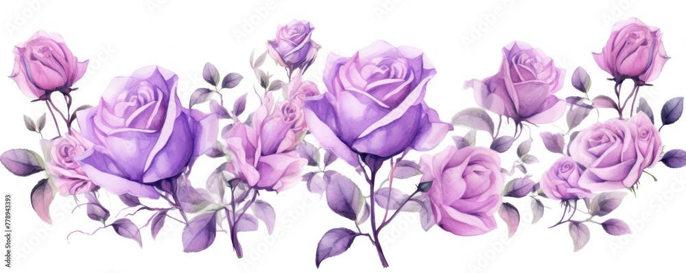 Lavender roses watercolor clipart on white background, defined edges ...