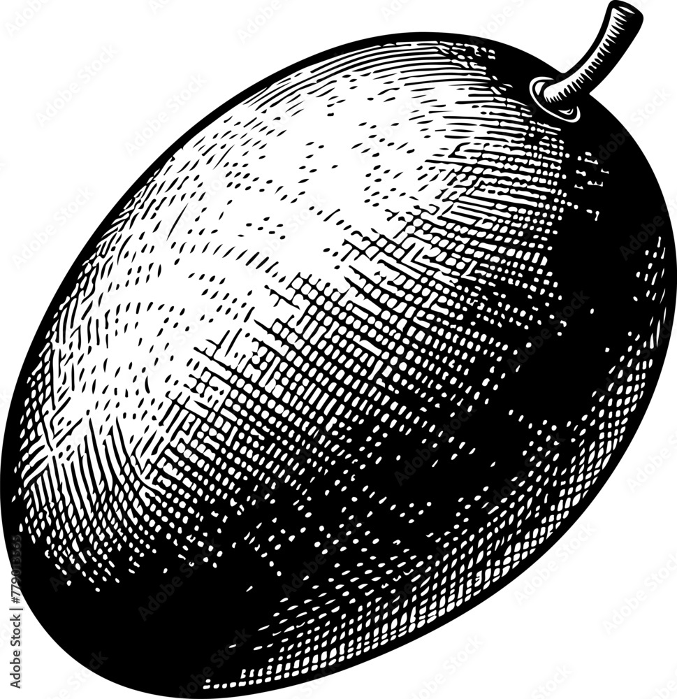 Mango fruit black outline illustration. Stock Vector | Adobe Stock