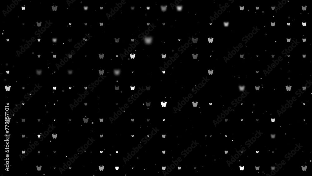 Template animation of evenly spaced butterfly symbols of different ...