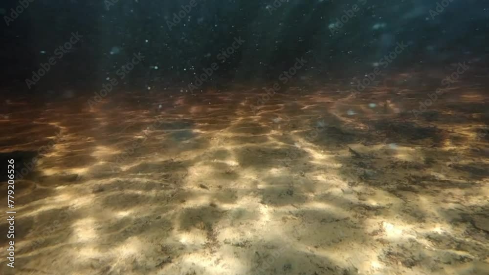Underwater diving light reflections and caustics on the beach sand ...