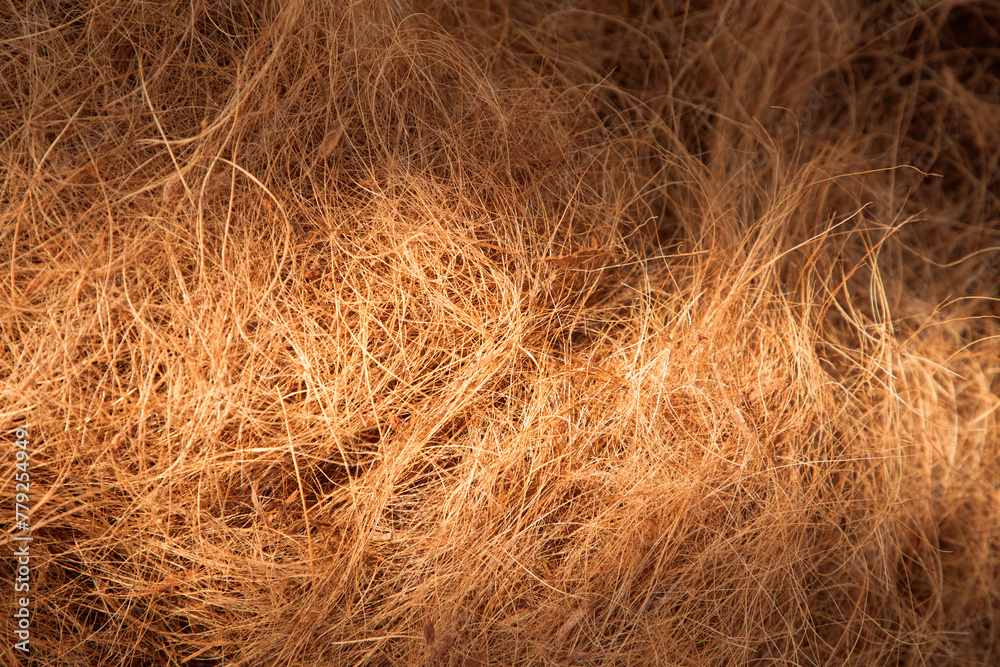 coconut coir rope making with traditional process Stock Photo | Adobe Stock