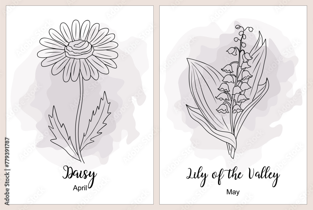 Daisy and Lily of the Valley, April, May birth month flowers line art ...