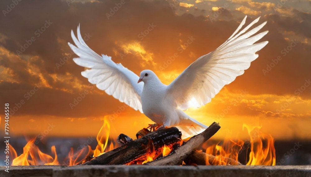 Pentecostal: White Dove in the Fire , the Symbol of Holy Spirit. Stock ...