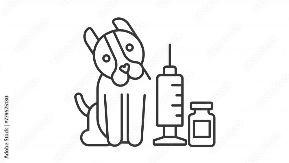 Pet vaccination line animation. Animated dog and medical syringe icon ...