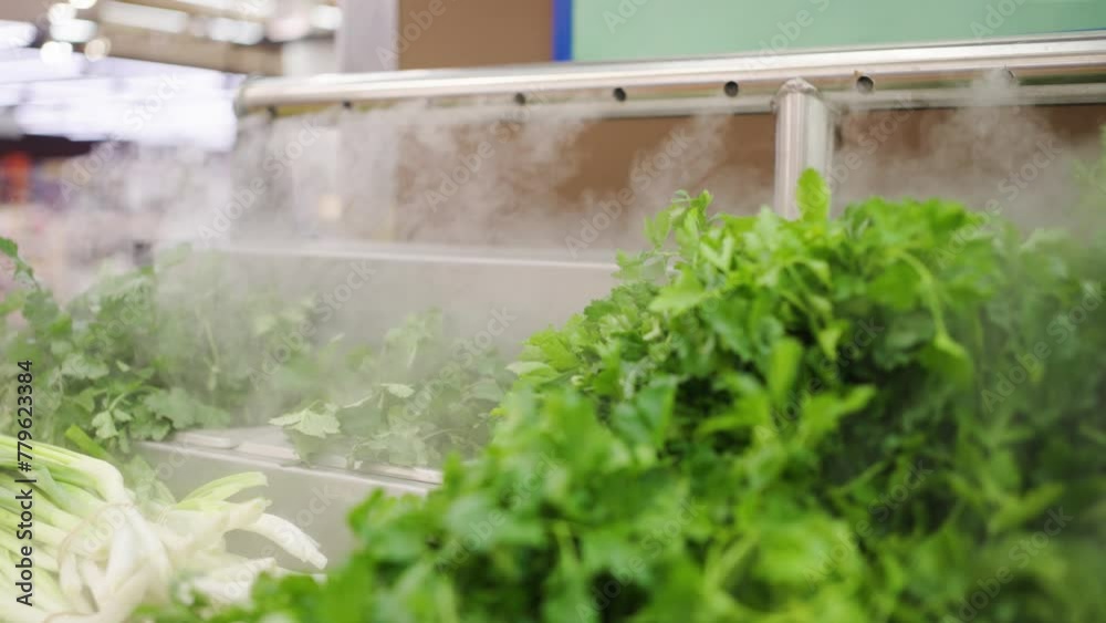 Crisp green leafy vegetables enveloped in mist within the fresh produce ...
