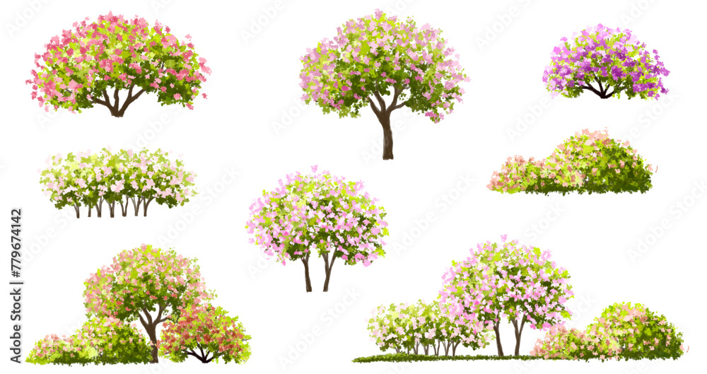 Vector watercolor blooming flower tree or forest side view isolated on ...