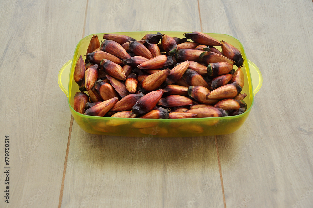 pinhão vem de uma árvore típica do Sul do país. A pinha é, na realidade ...