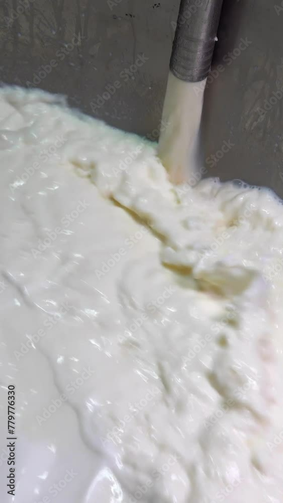 Milk Pasteurization and Safe Milk Production in Dairy Processing Plant ...