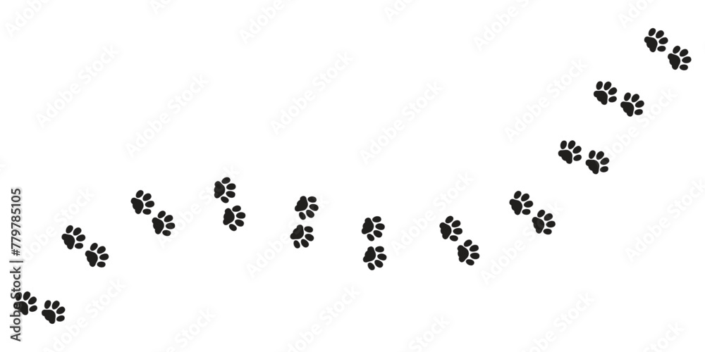 Paws, tiger tracks of a dog or cat, diagonal trail of animal tracks ...