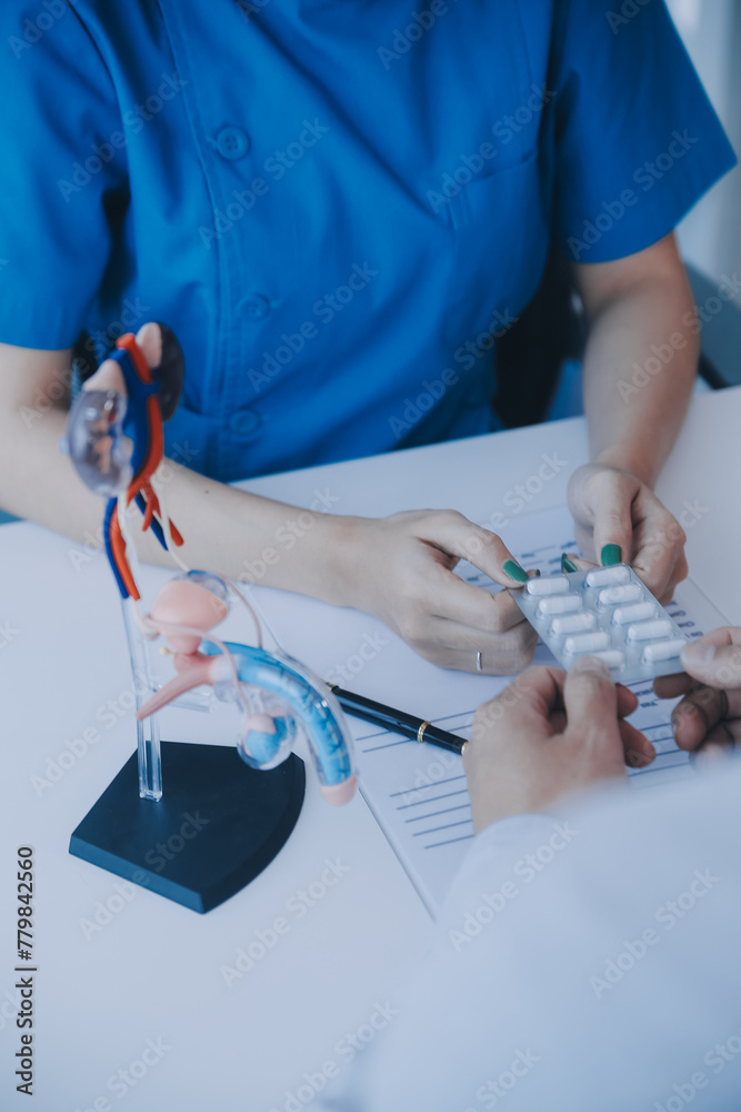 Doctor uses anatomical model to explain male urinary system. Model ...