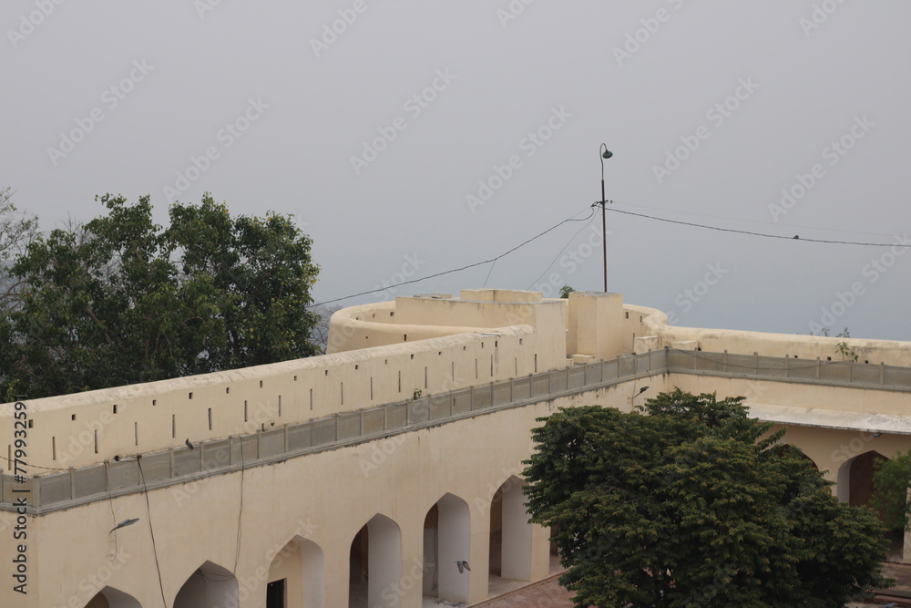 Carving details on the outer wall of Shri Ahilyeshwar Mandir, located ...
