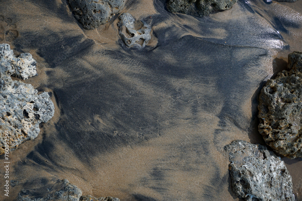 Natural beach sand texture with corrals - Natural beach background ...