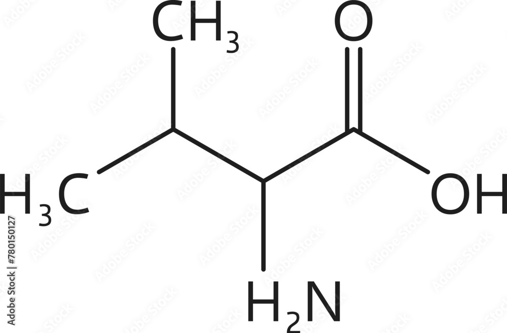 Valine, an essential amino acid, has a branched aliphatic side chain ...