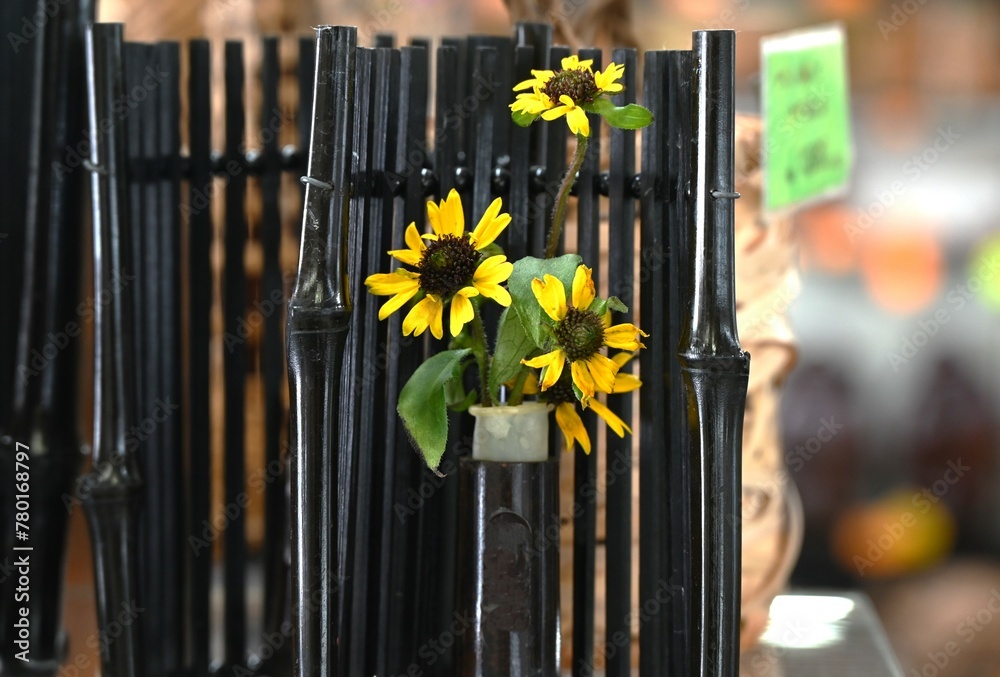 Introducing souvenirs from sightseeing in Japan. Japanese bamboo crafts ...