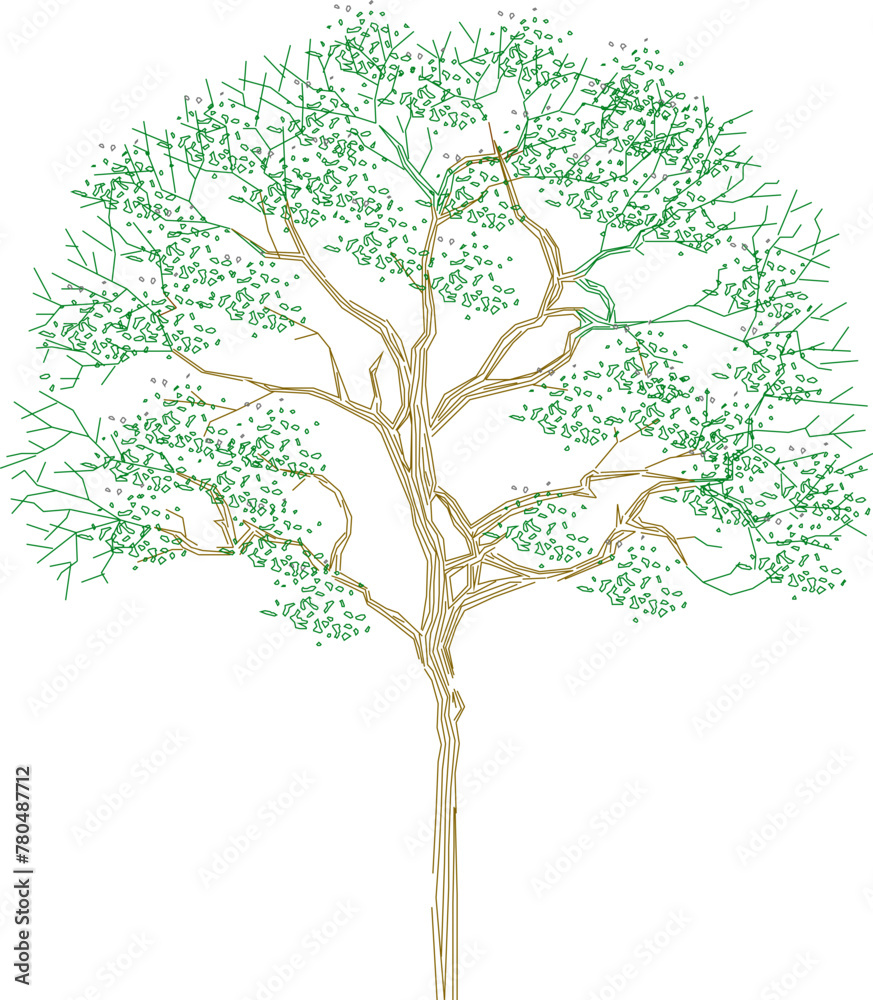 Vector sketch illustration of a tree plant design, front view and top ...