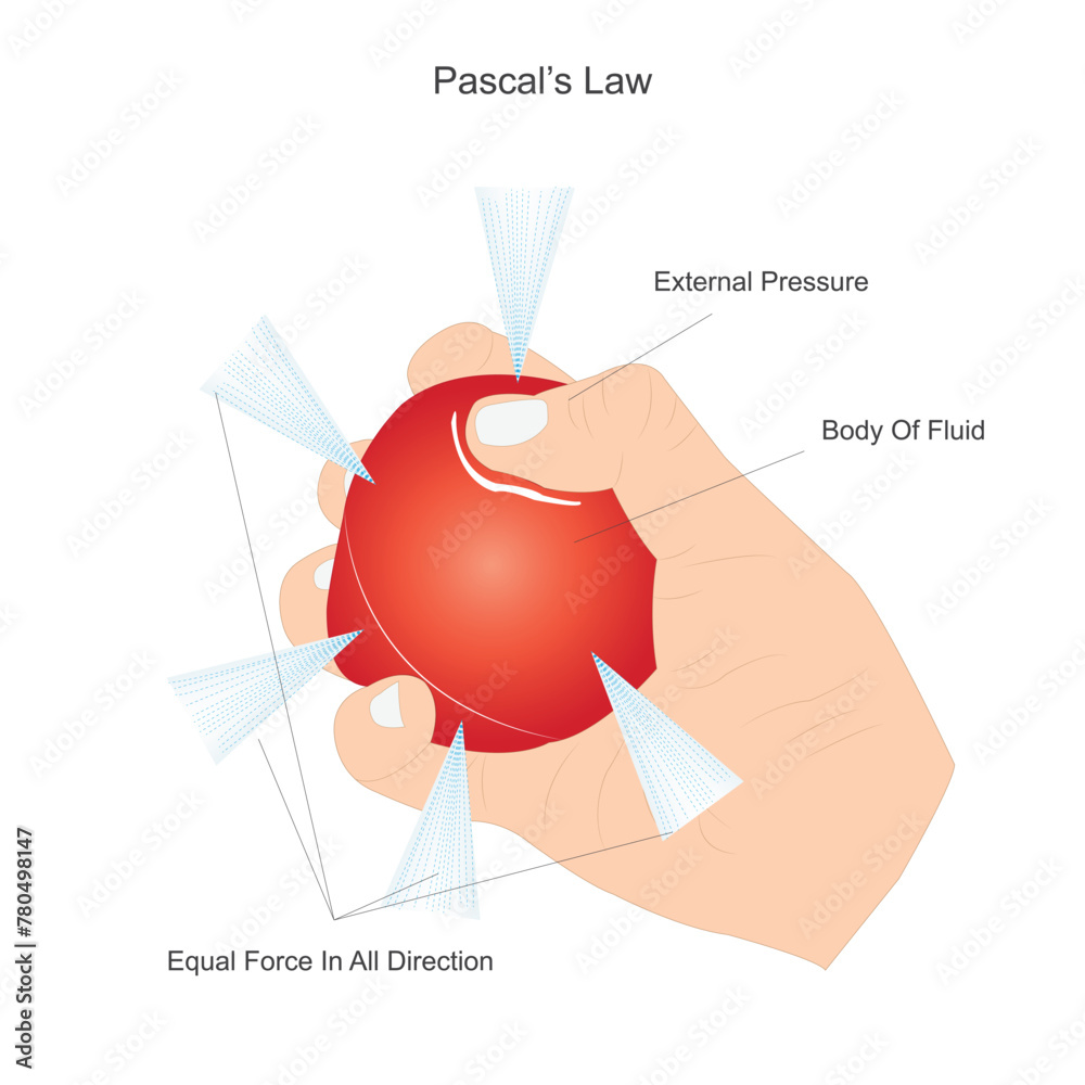 Vecteur Stock Pascals Law states that in a confined fluid, pressure ...