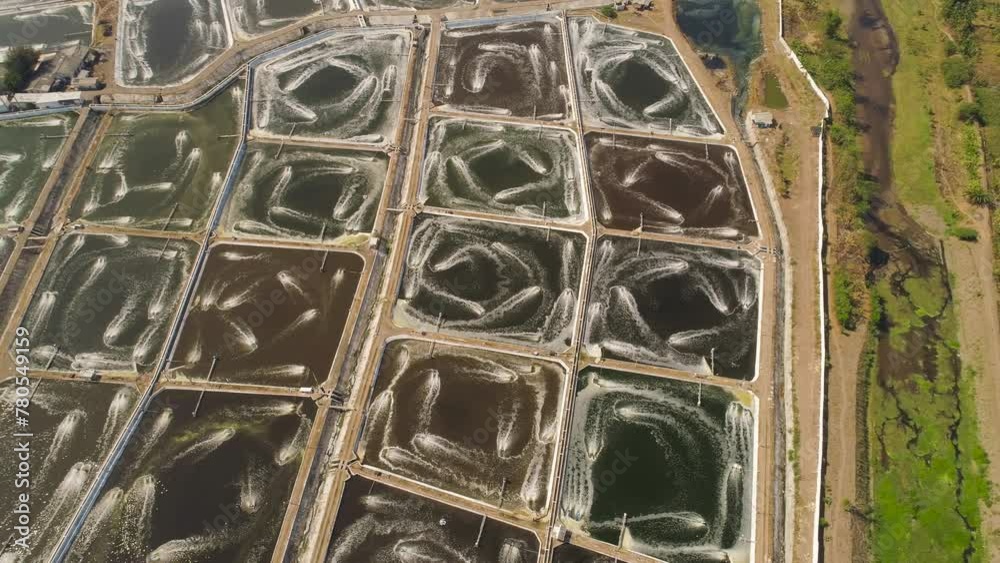 shrimp farm, prawn farming with with aerator pump oxygenation water ...