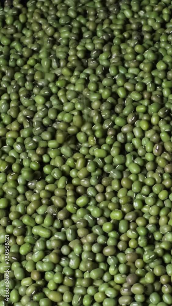 Slow motion of pouring dried green mung beans (Vigna radiata) on a ...