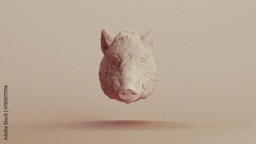 Hog pig boar head neutral backgrounds soft tones beige brown background ...