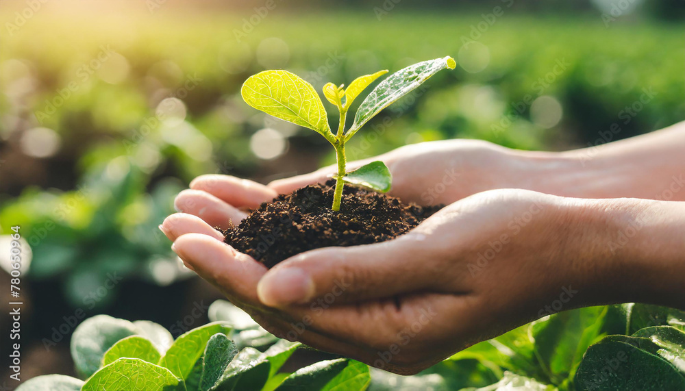 Fragile life flourishes in human hands, a reminder of our ...