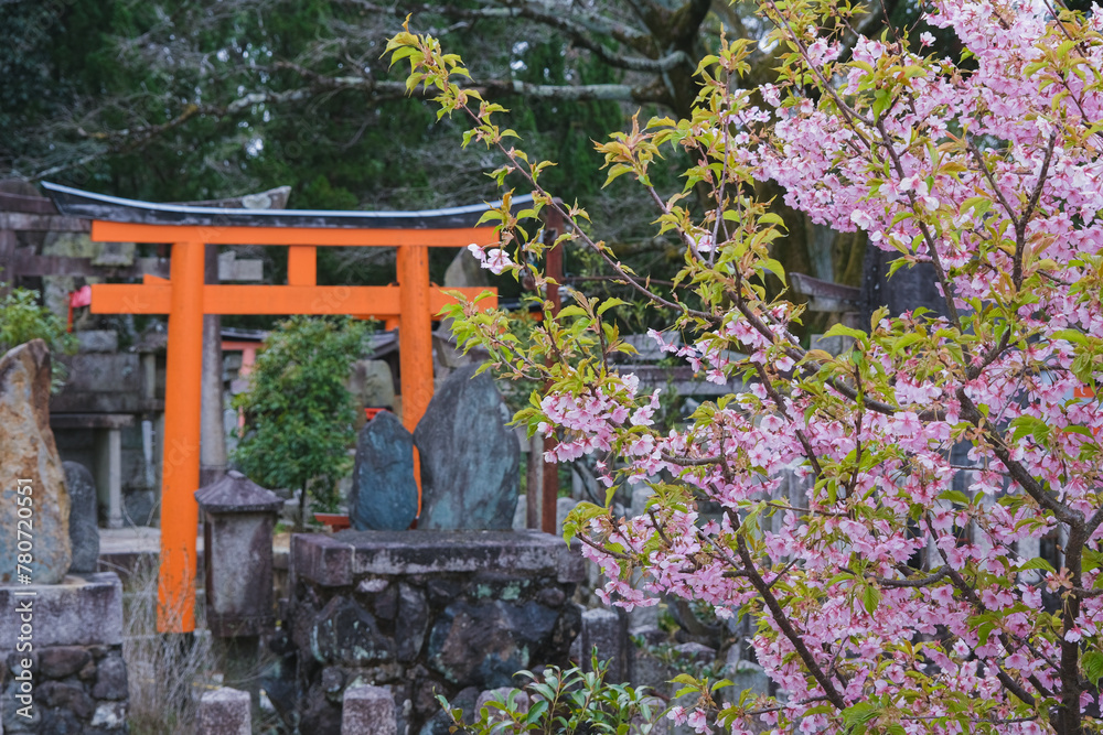 Red pagodas and gates up the mountain in Fushimi Inari-Taisha shinto ...
