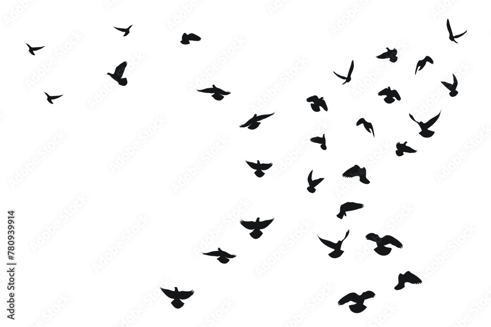 Sketch silhouette of a flock of flying black birds, takeoff, flying ...