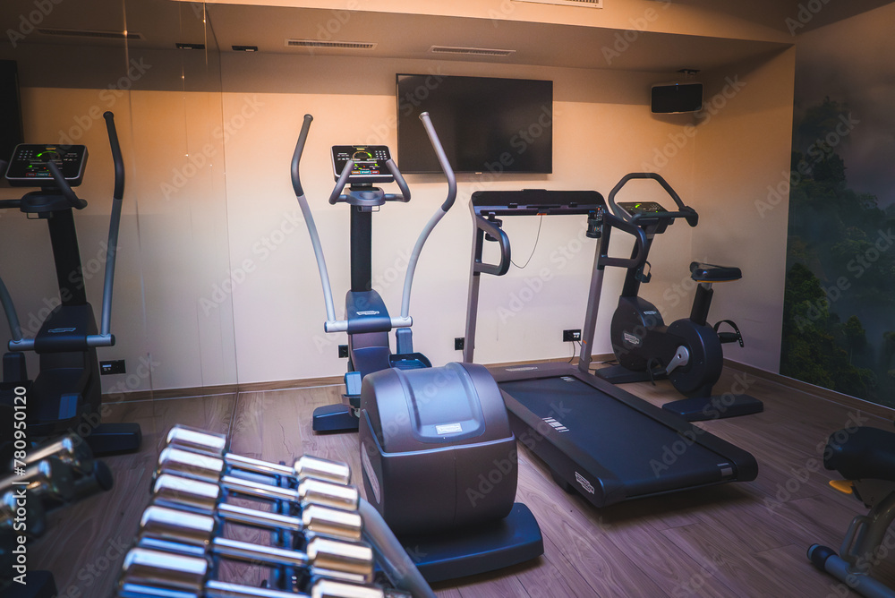 Modern home gym with dumbbells, cardio machines, treadmill, TV, speaker ...