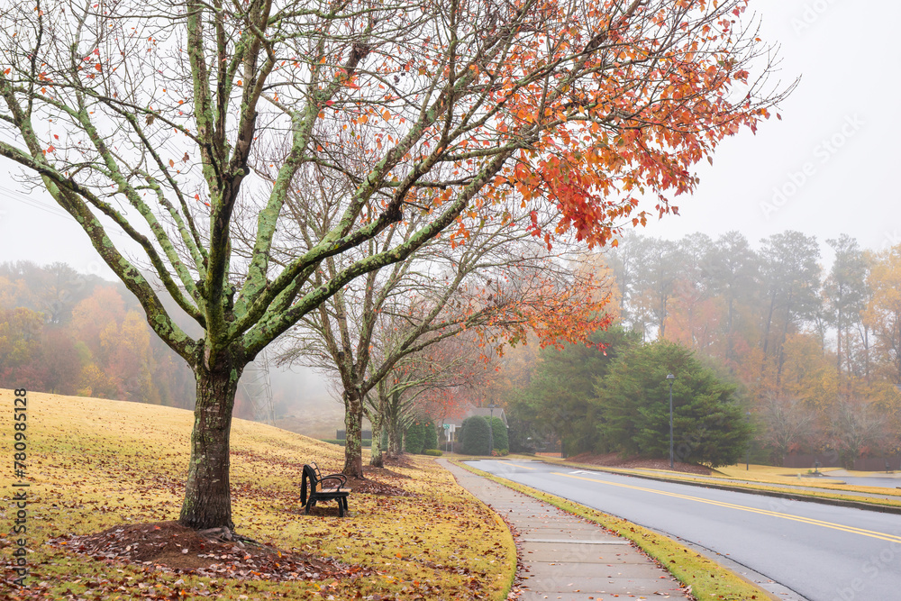 The season of autumn or fall has arrived in the US. The various leaf ...