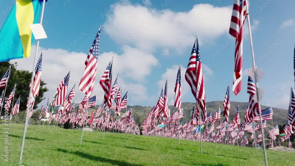 Rows of flags stand as a testament to resilience and remembrance for ...