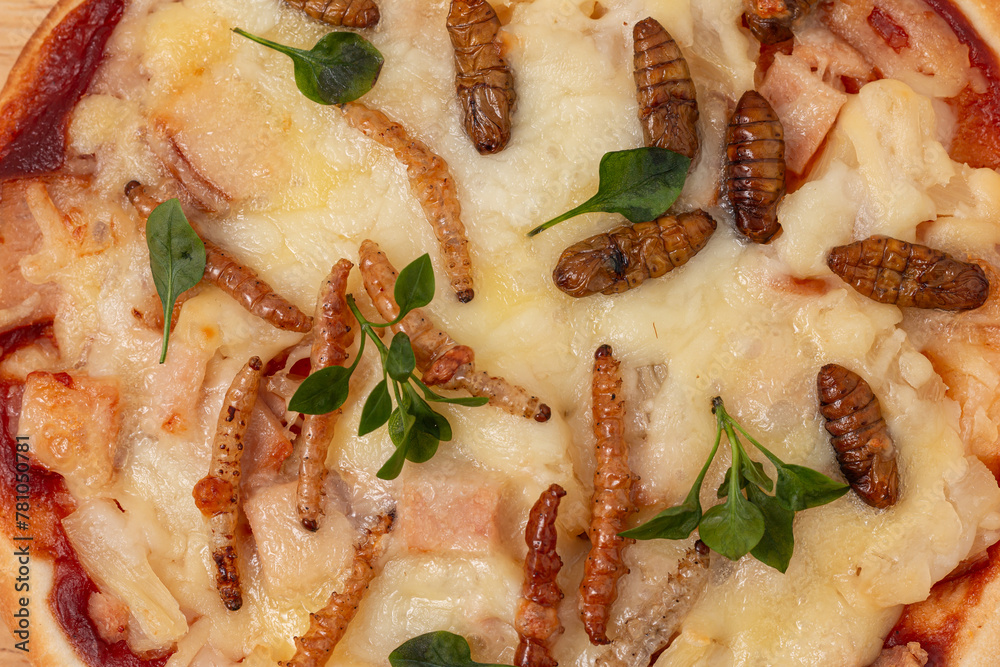 Pizza with bamboo caterpillars, silkworm pupae, and mozzarella, edible ...