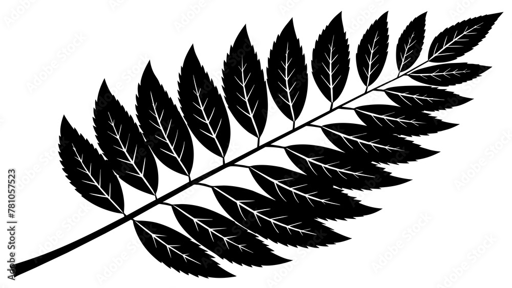 Discover Stunning Rowan Leaf Vector Graphics Enhance Your Designs Stock ...