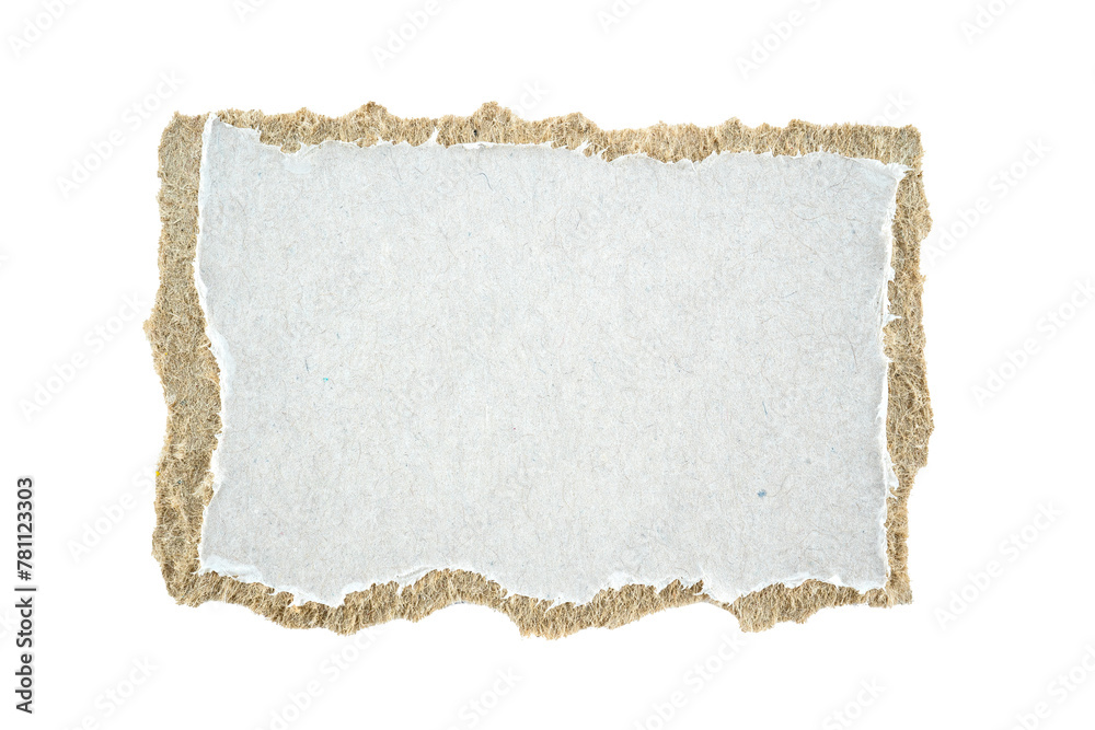 ripped piece of cardboard toilet paper roll, a fragment of torn sticky ...