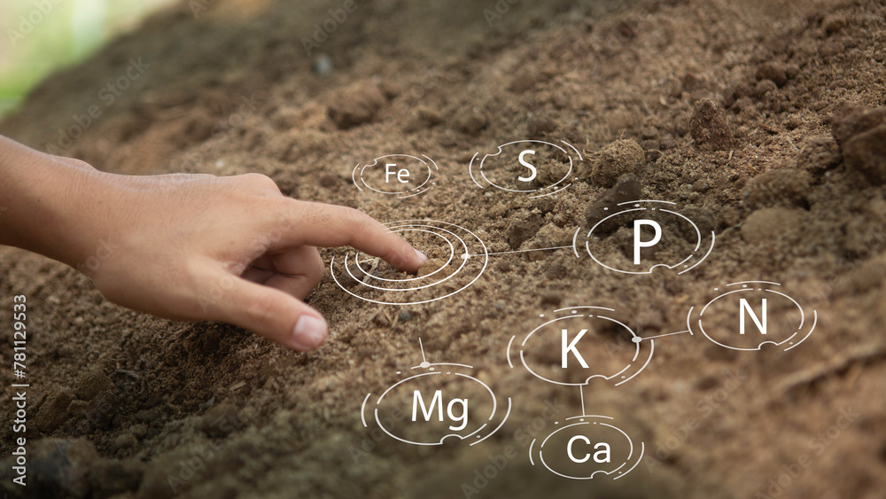Check soil quality to control soil mineral quality before planting ...