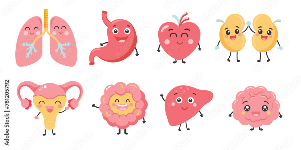 Cute smiling happy human healthy strong organs set. cartoon character ...